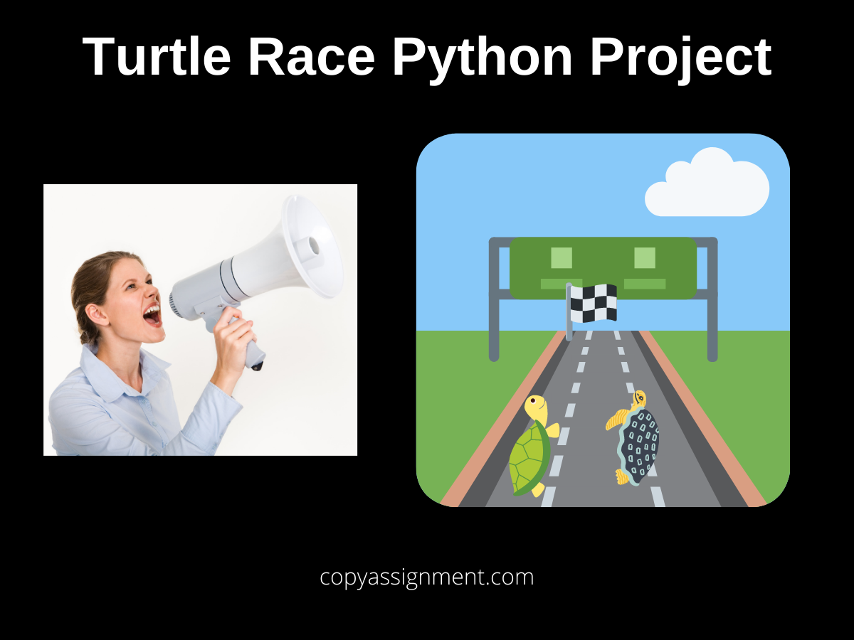 Turtle Race Python Project Complete Guide Copyassignment